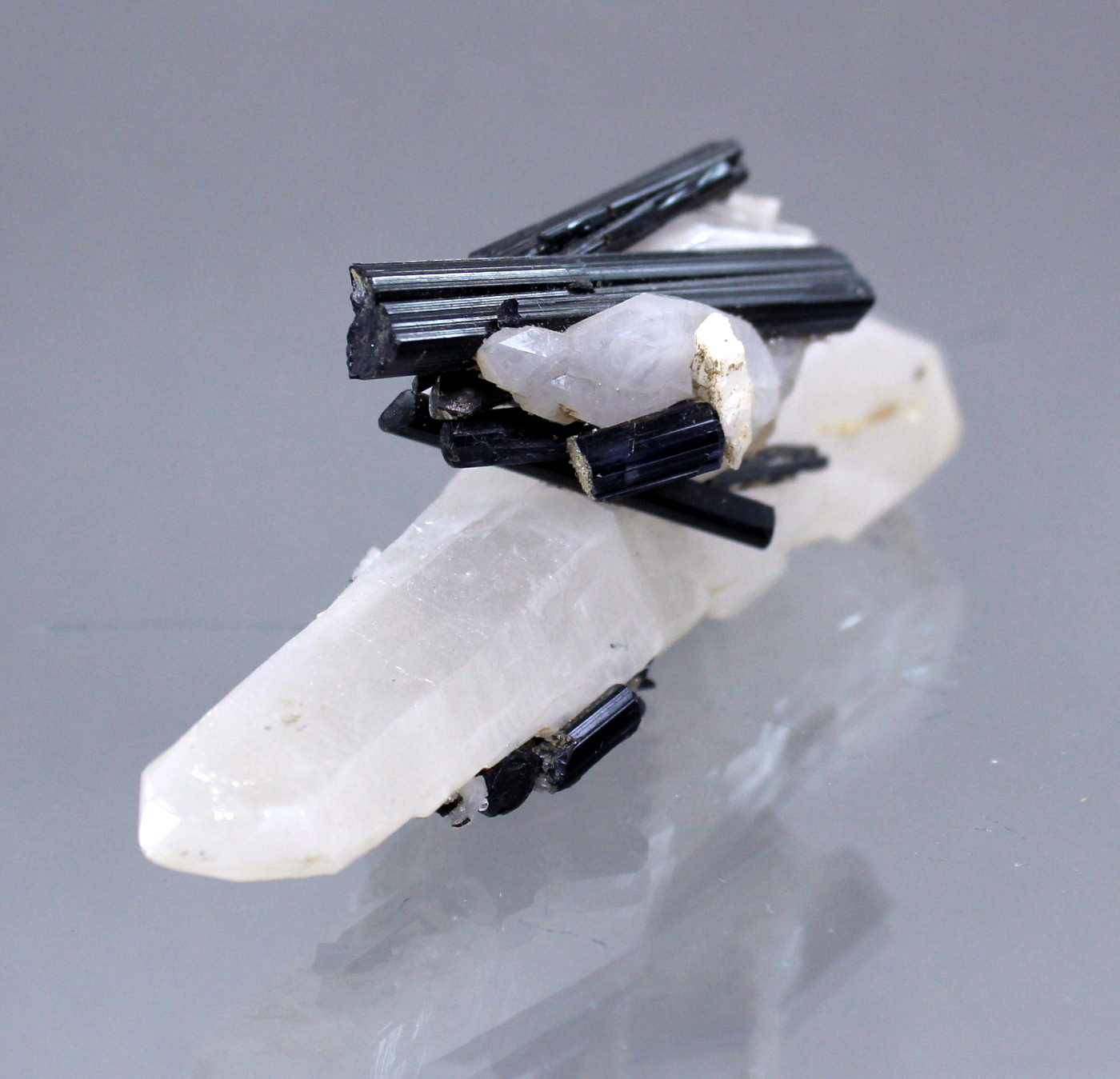 Tourmaline on Quartz - GeoKrazy Minerals